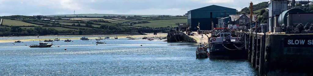 Our Services – Welcome to SECTA